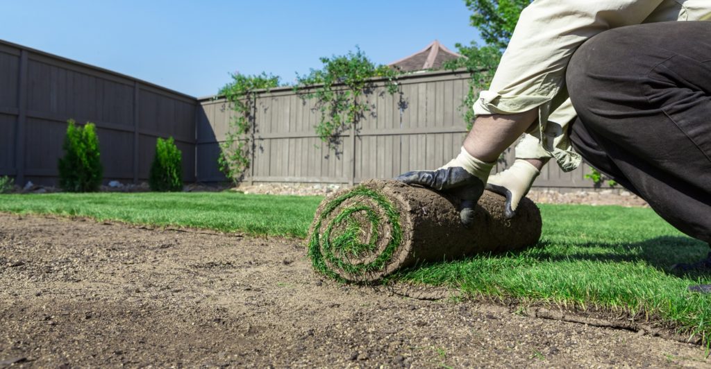 Bermuda Lawn Guide - Bermuda Lawn Guide